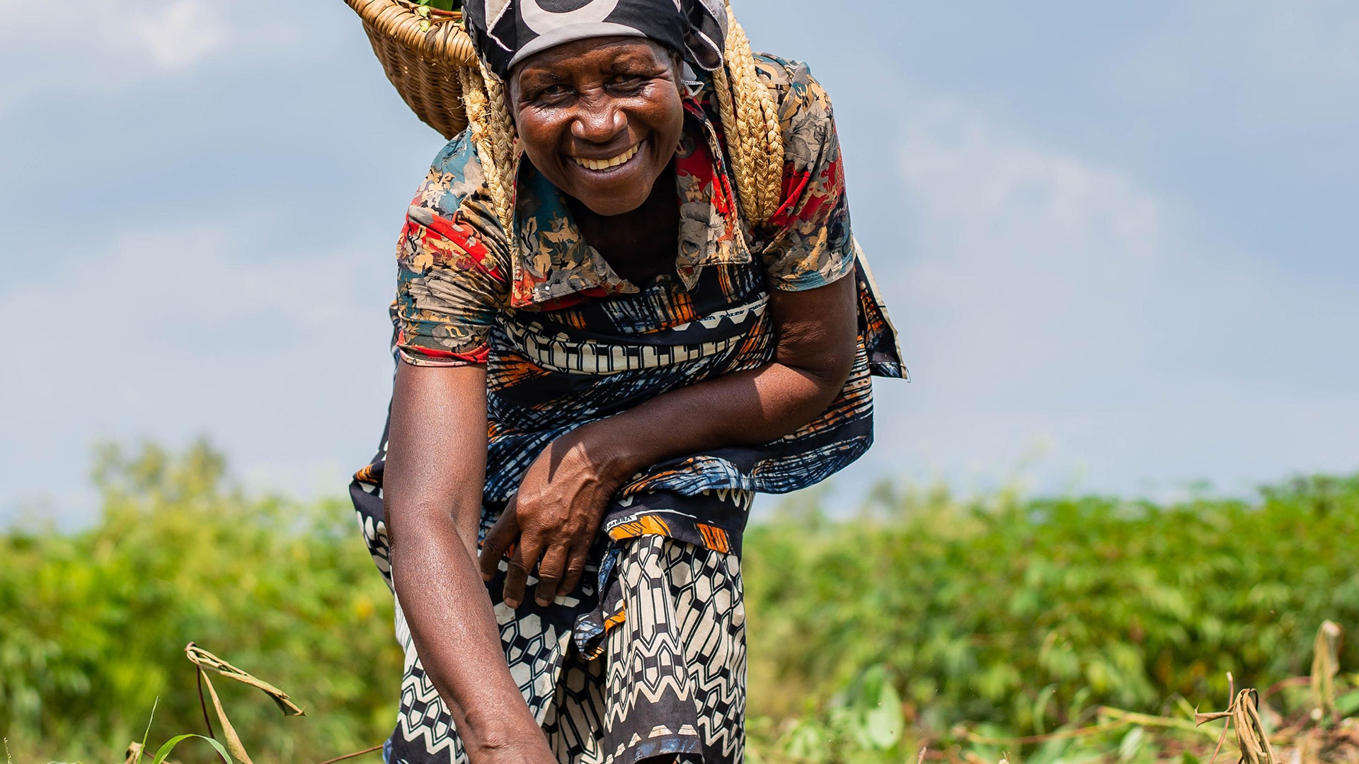 Africa Agriculture Status Report (AASR) – AGRA