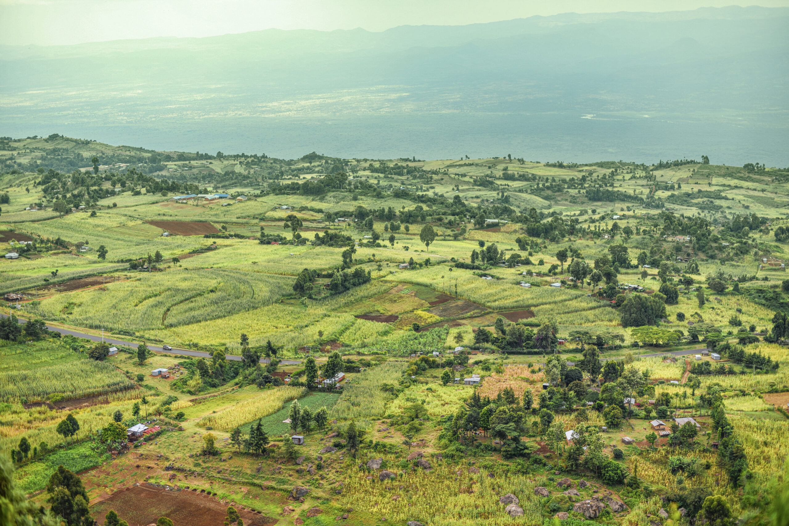 Experts Reiterate the Need to Address Food Loss and Waste for a ...